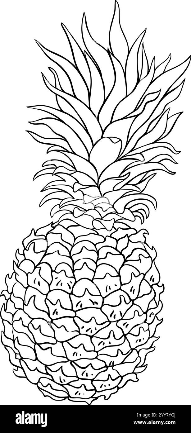 Pineapple Fruit Isolated Outline Illustration Stock Vector Image & Art ...