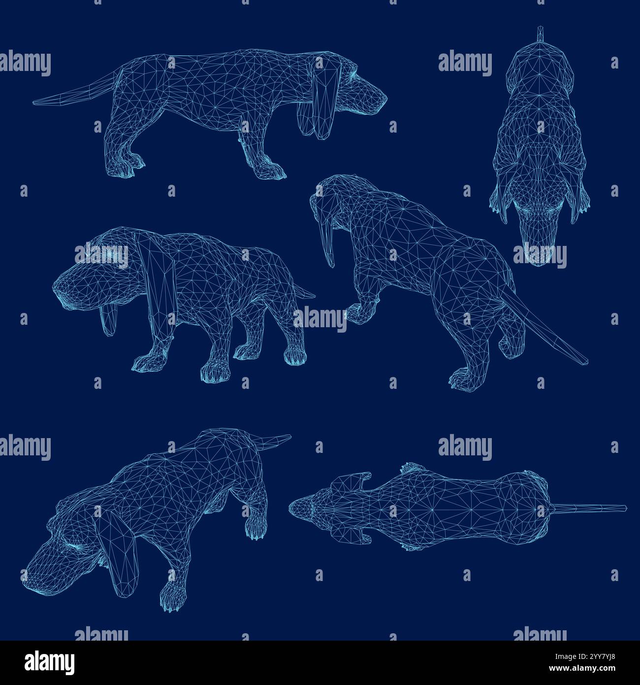 Dog wireframe Set. Vector illustration Stock Vector Image & Art - Alamy
