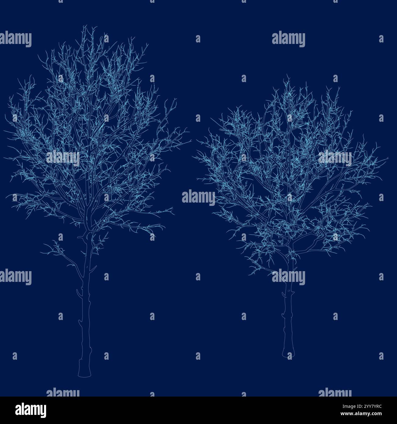 Tree line drawing hi-res stock photography and images - Alamy