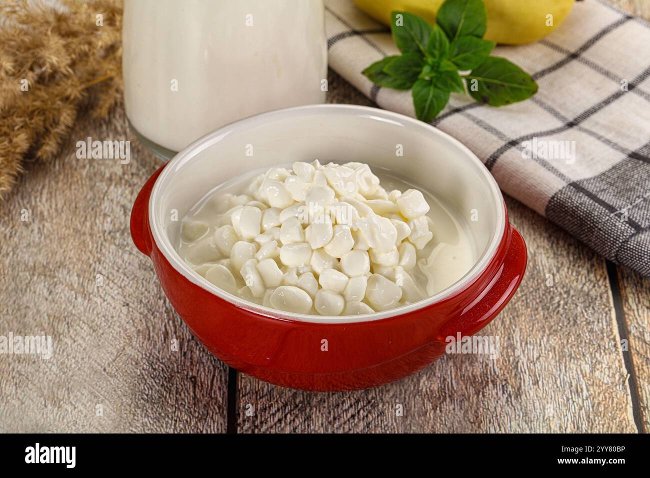 Grain cottage cheese with sour in the bowl Stock Photo - Alamy
