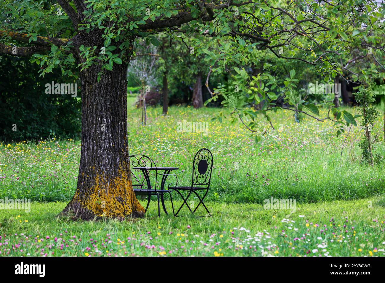 Garden table chairs lawn relaxing hi-res stock photography and images ...