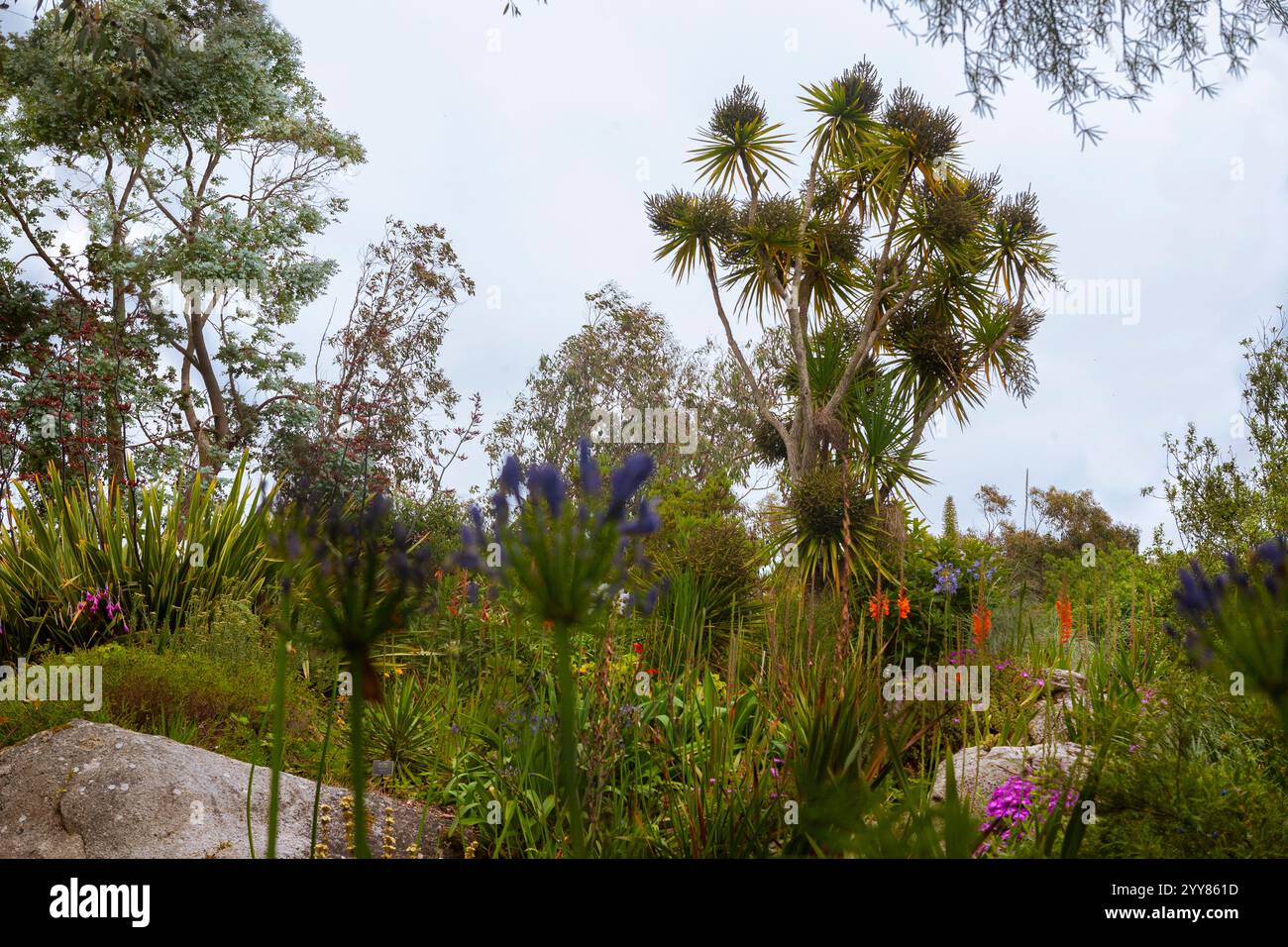 The Exotic Garden of Roscoff (Le Jardin Exotique de Roscoff), Finistère ...