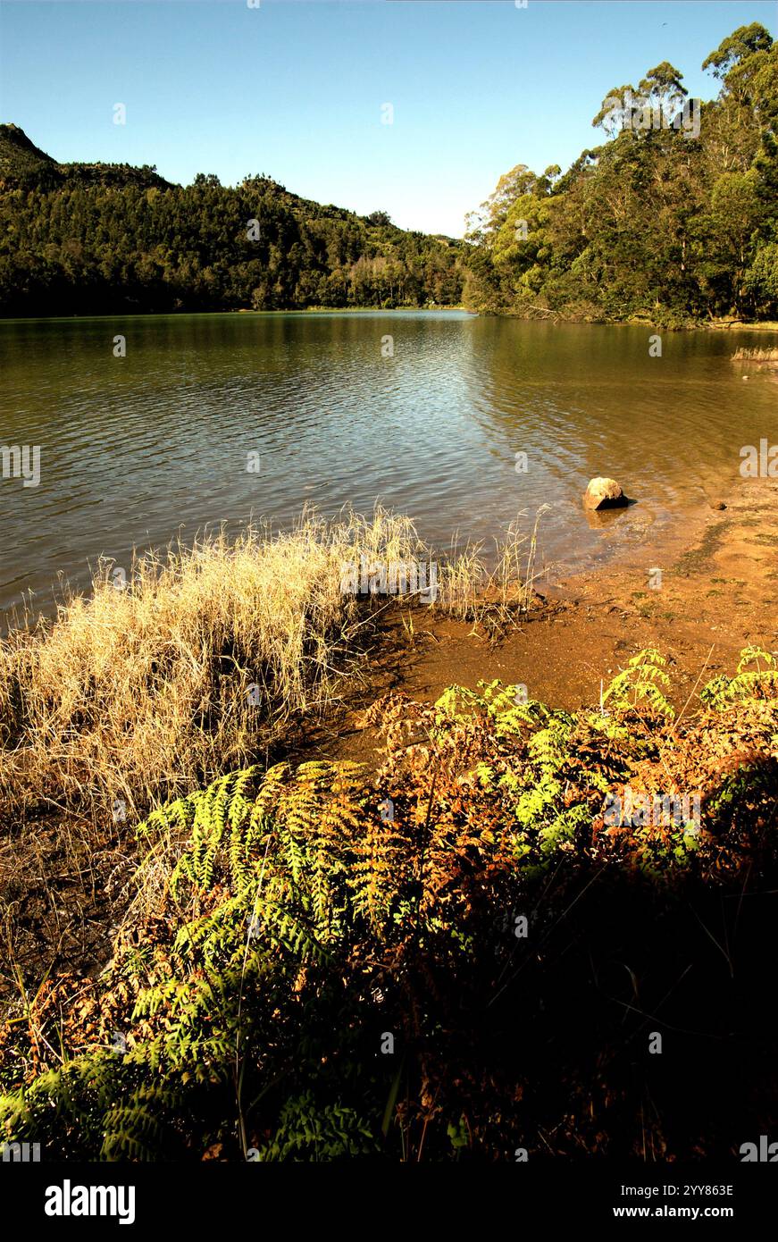 Pengilon lake, a highland freshwater lake on Dieng plateau ...