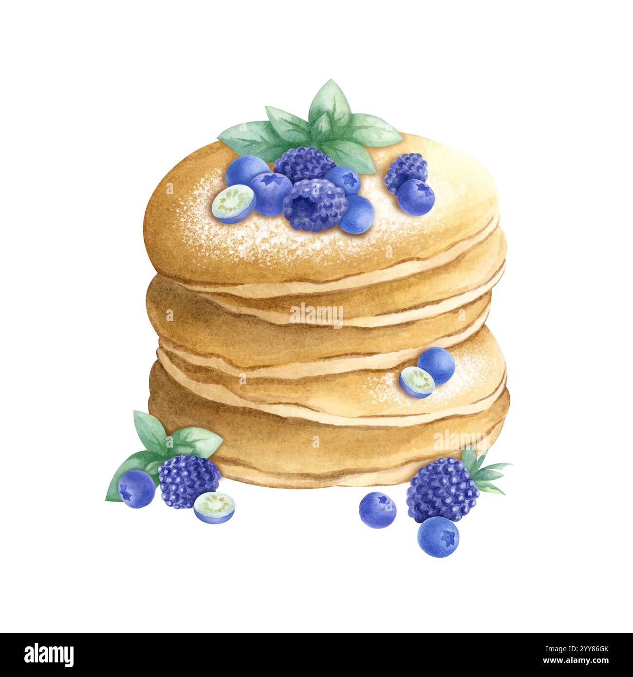 Pancakes with blueberry, blackberry and mint. Hand drawn watercolor ...