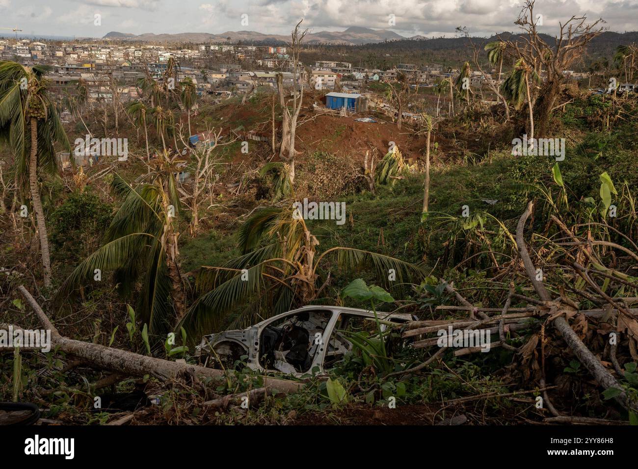 A broken car lays in a field of shredded trees in Mirereni, Mayotte ...