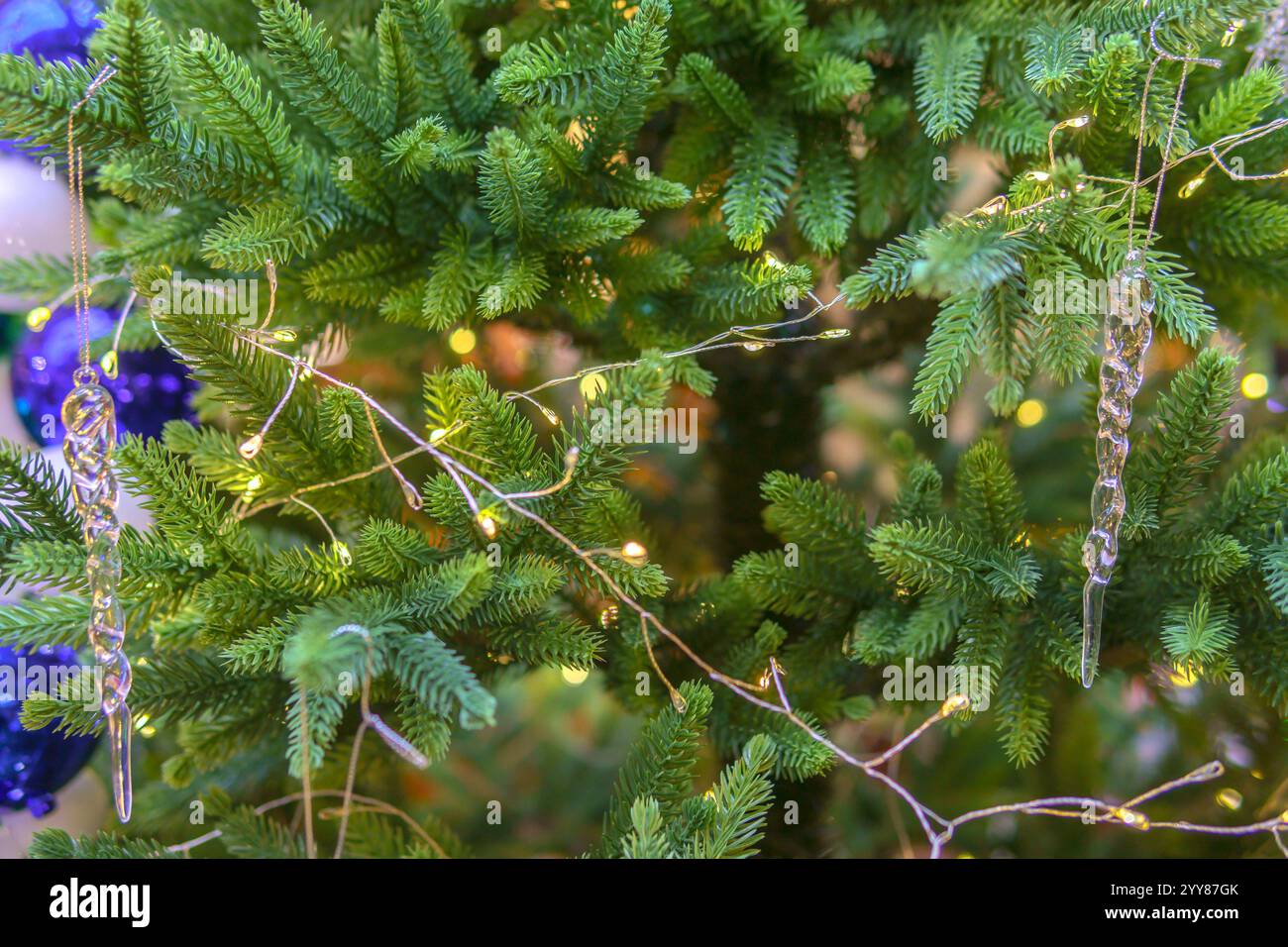 Yellow lights of a festive electric garland shine among the green ...