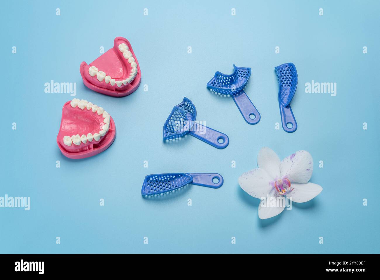 Set of dental flexible impression trays with layouts of the human jaw ...