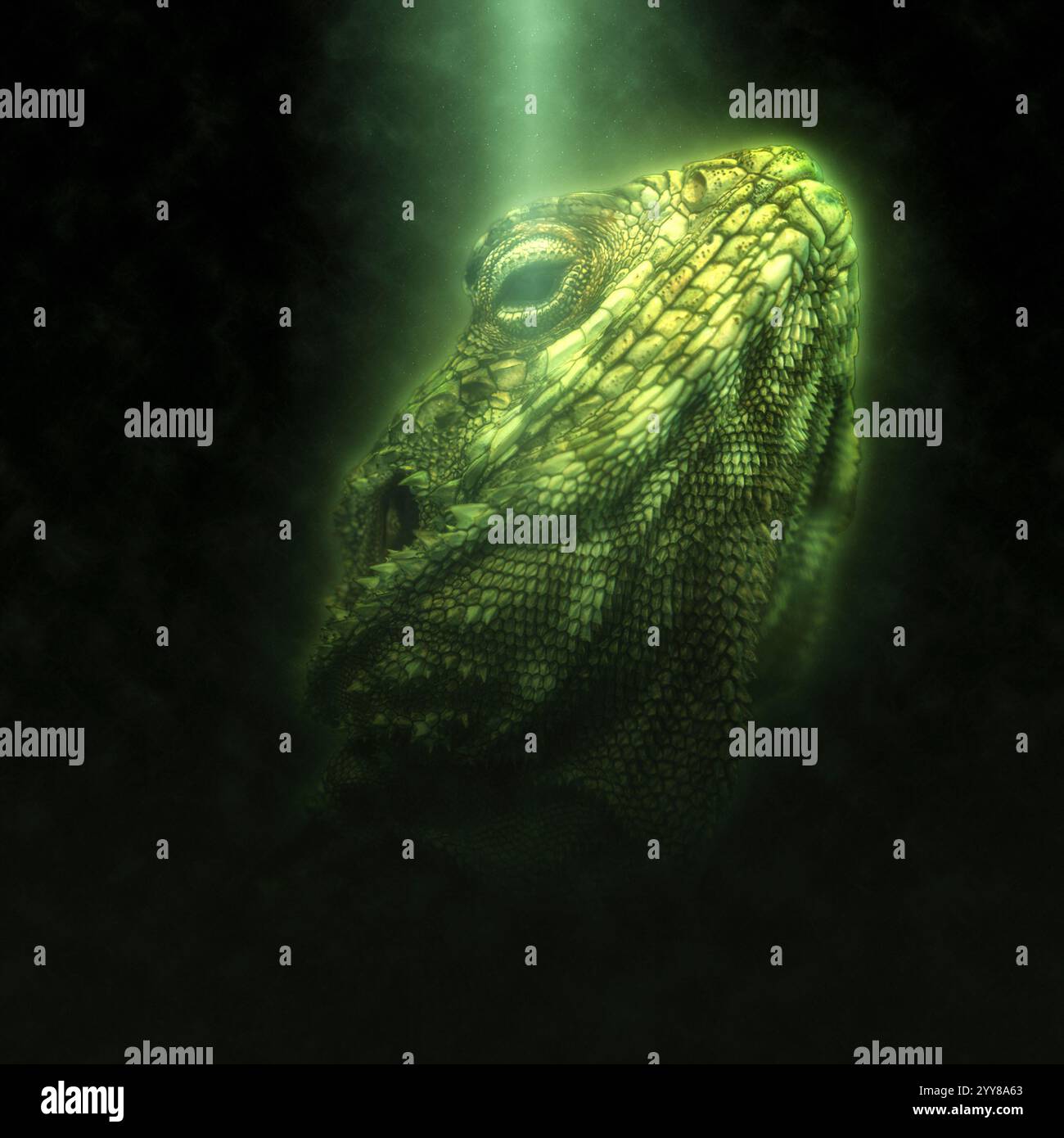 Agama lizard drawing hi-res stock photography and images - Alamy