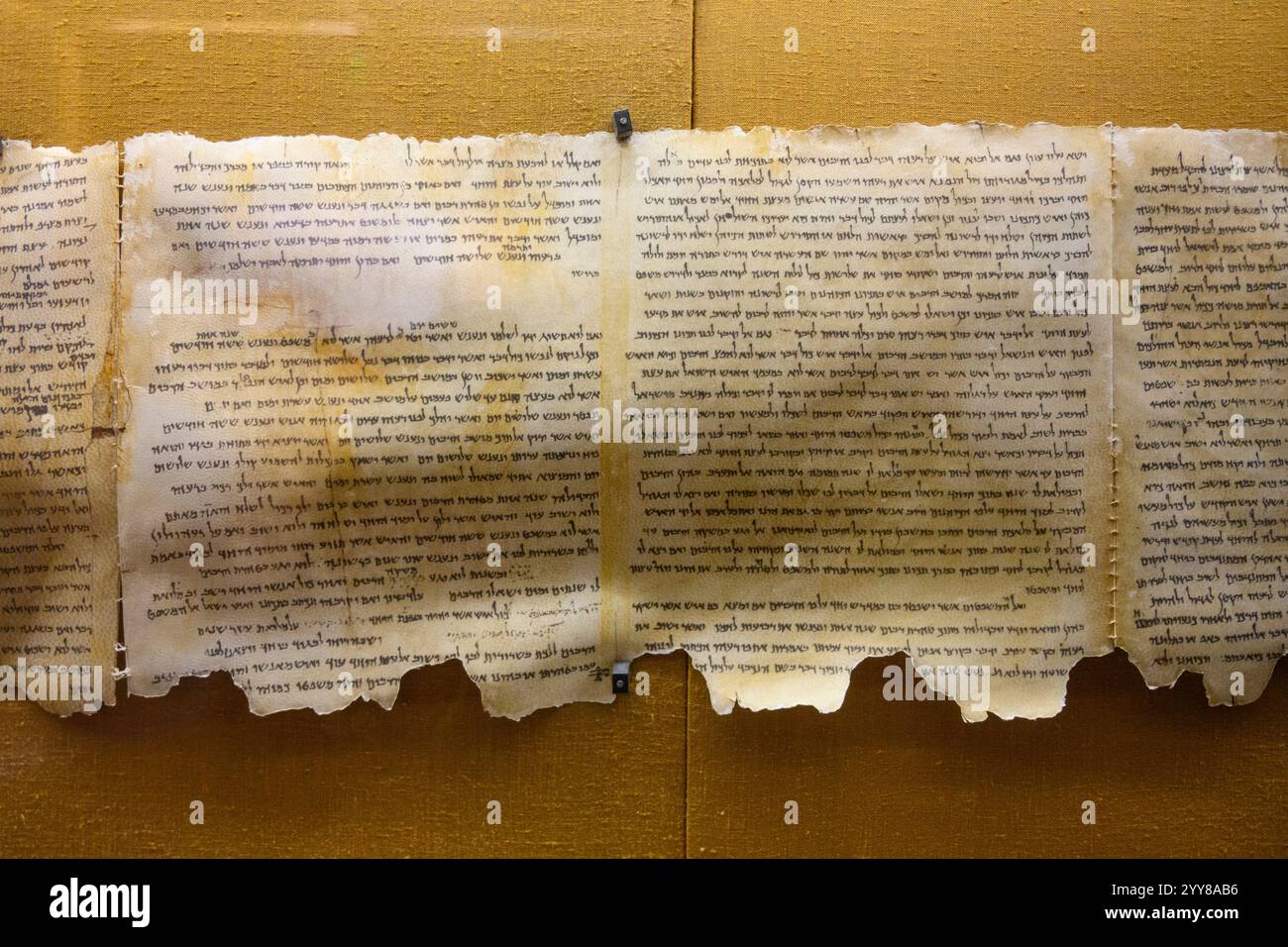 Community rule scroll hi-res stock photography and images - Alamy