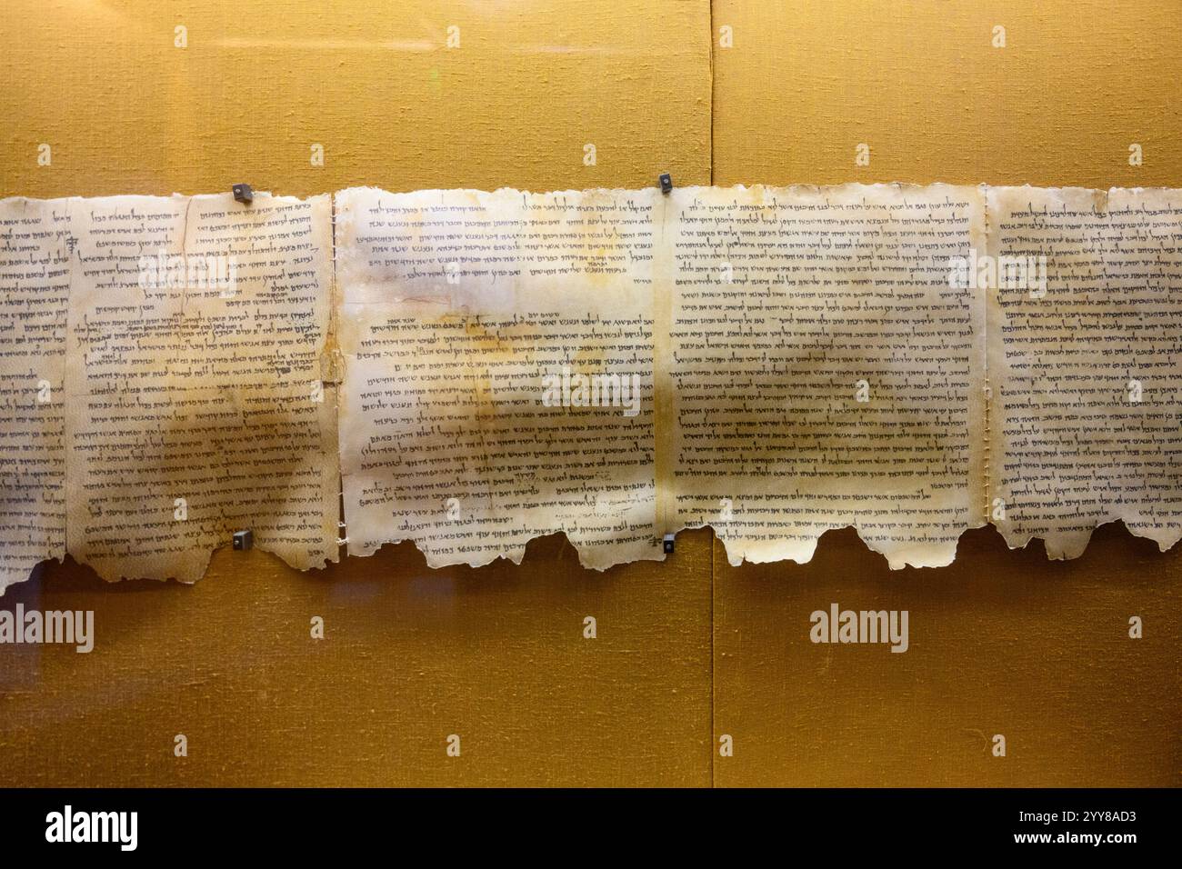 Qumran archeological site Facsimile copy of the Community Rule Scroll ...