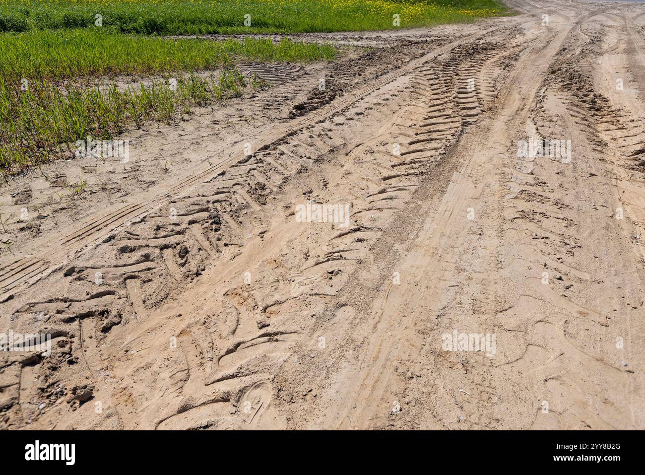 part of the road in the field for agricultural transport, ruts in the ...