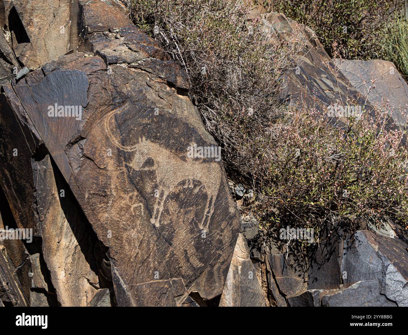 Tamgaly Tas Petroglyphs in Kazakhstan Stock Photo - Alamy