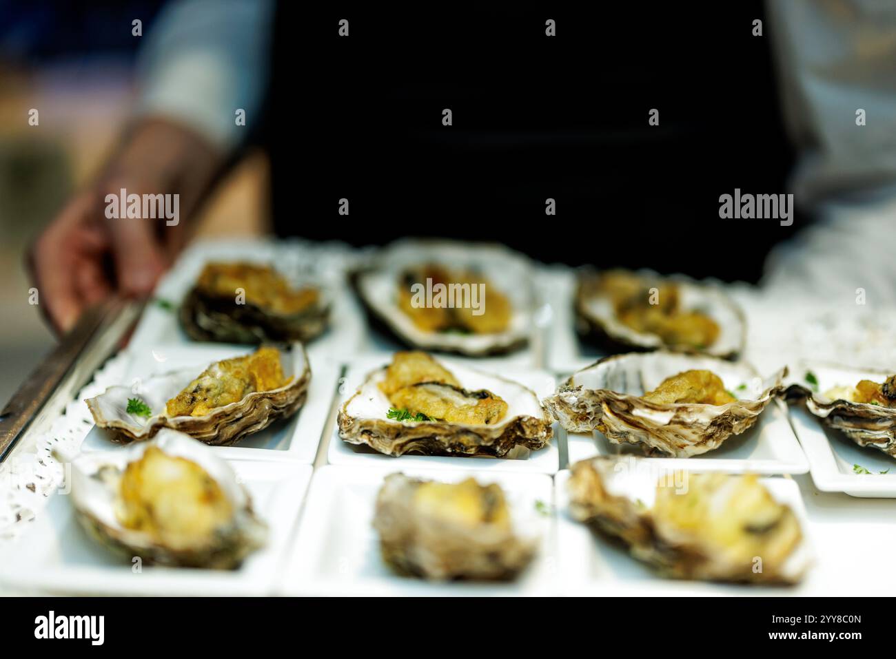 Seafood Art, Fine Dining with Gourmet Oysters Stock Photo - Alamy