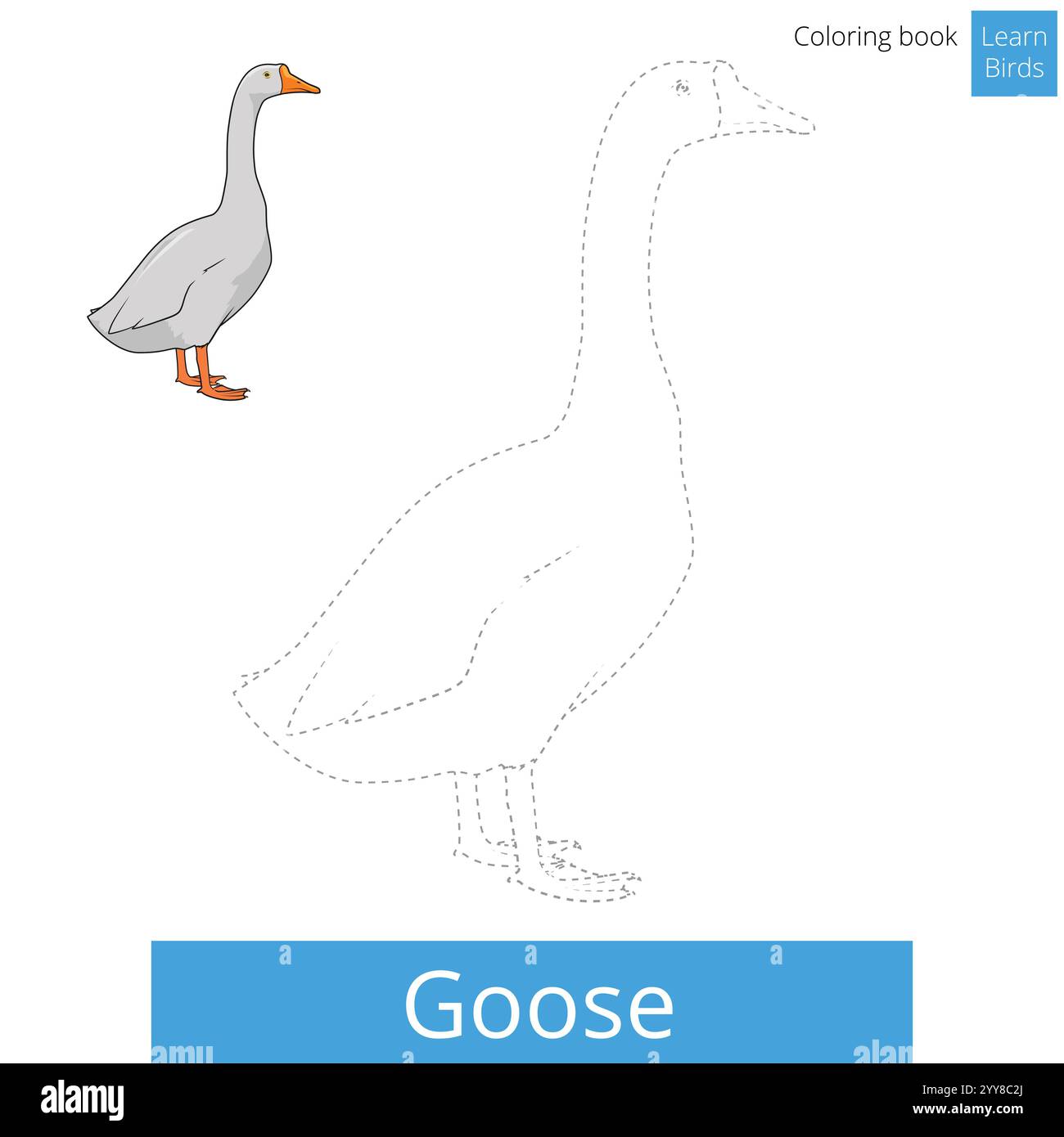 How to draw goose hi-res stock photography and images - Alamy