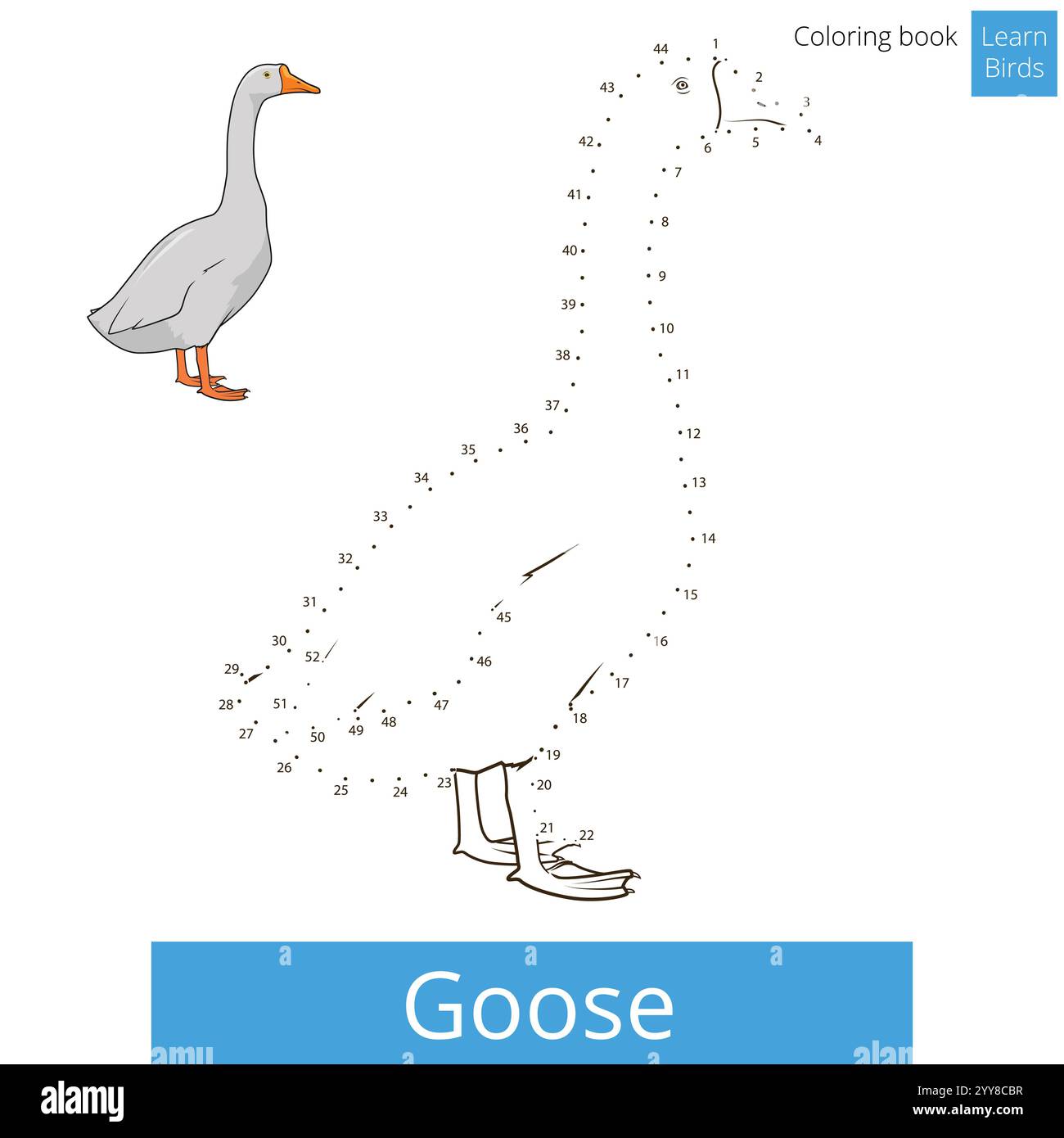 How to draw goose hi-res stock photography and images - Alamy