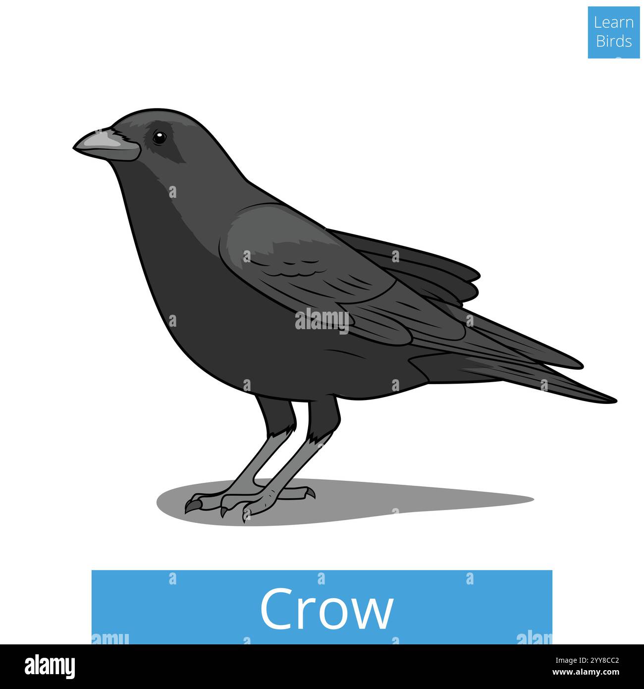 Raven training Stock Vector Images - Alamy