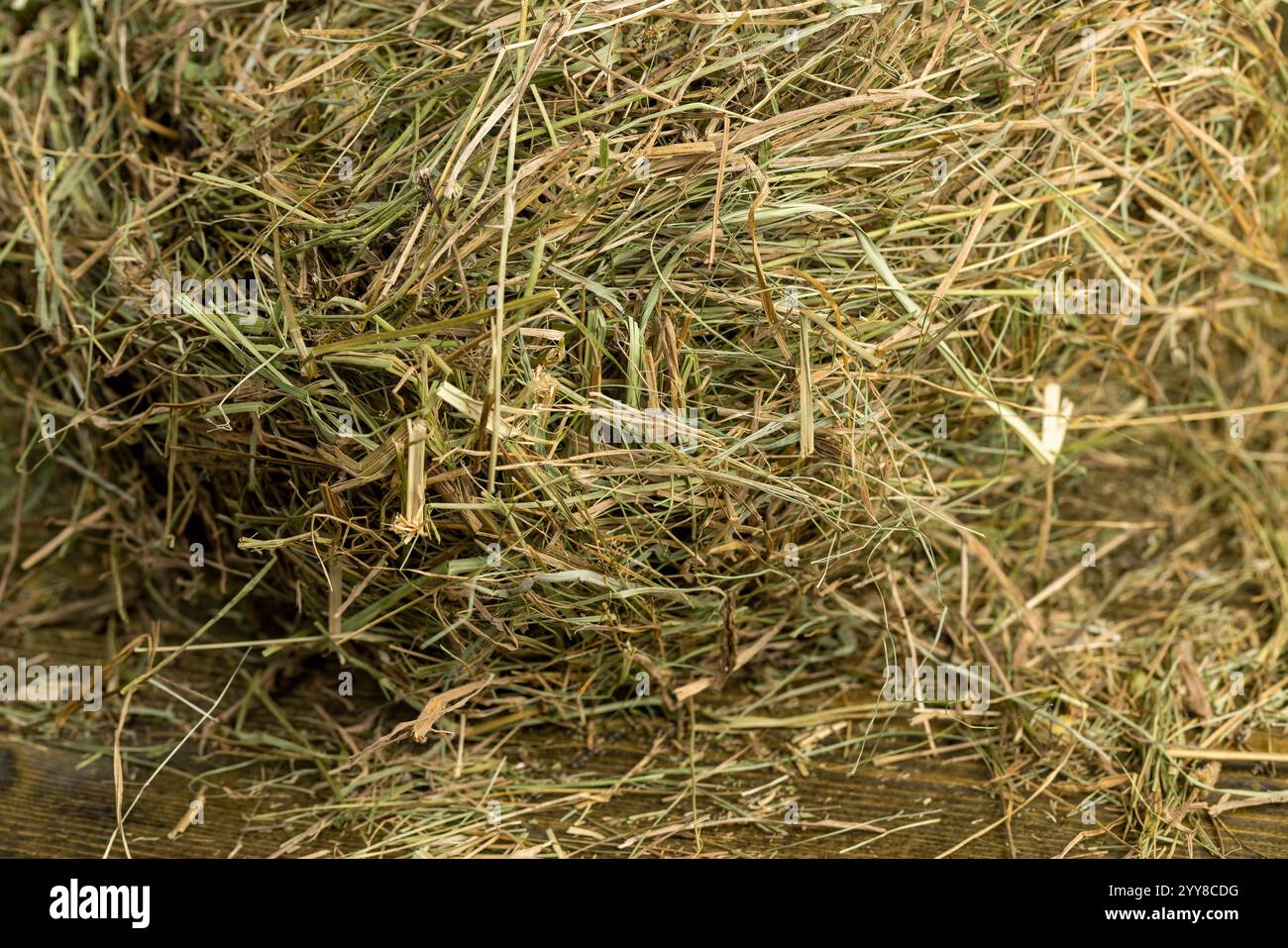 Bale hay pile dried hi-res stock photography and images - Alamy