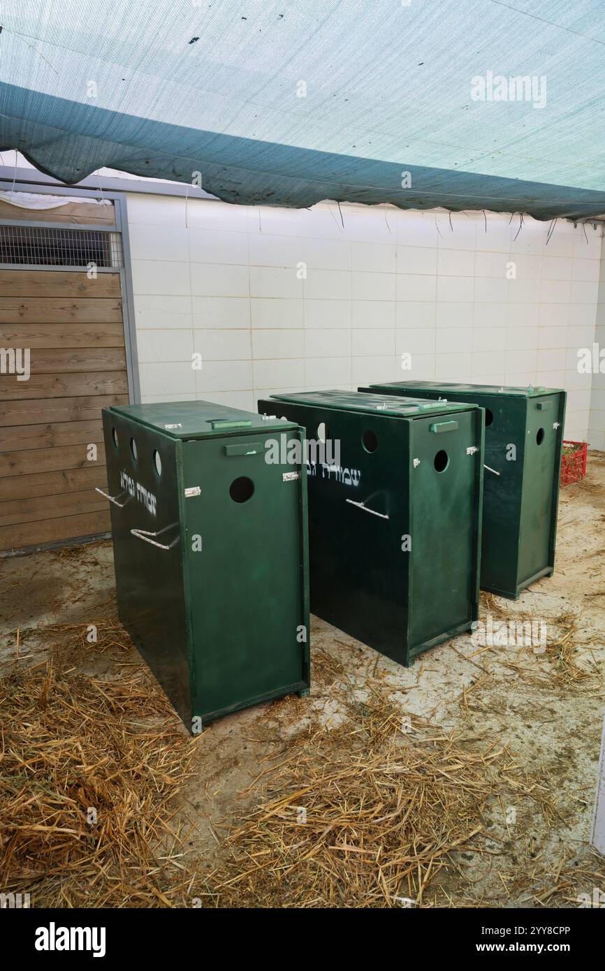 Tranquilizing animals hi-res stock photography and images - Alamy