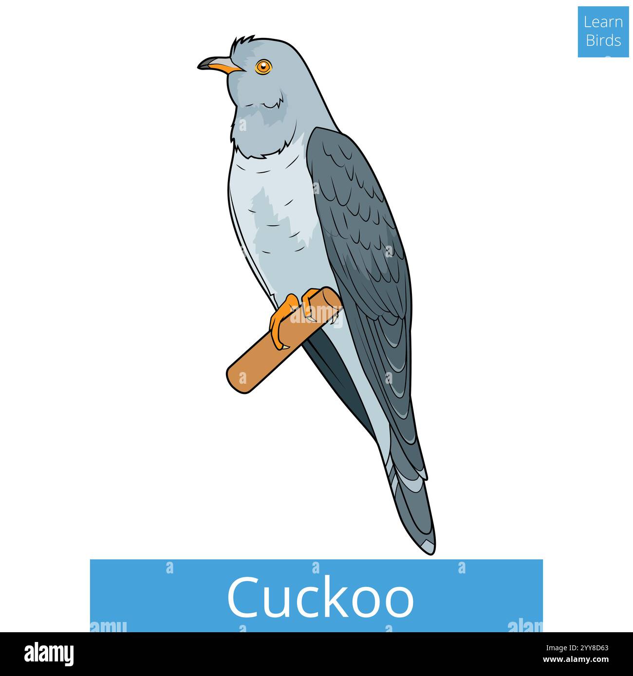 Nature educational material hi-res stock photography and images - Alamy