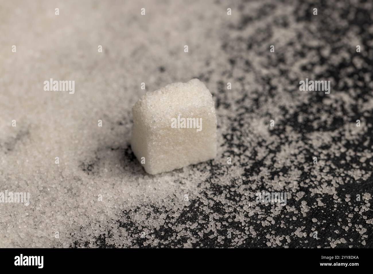 one cubes of refined sugar closeup, white sugar and sugar beet Stock ...