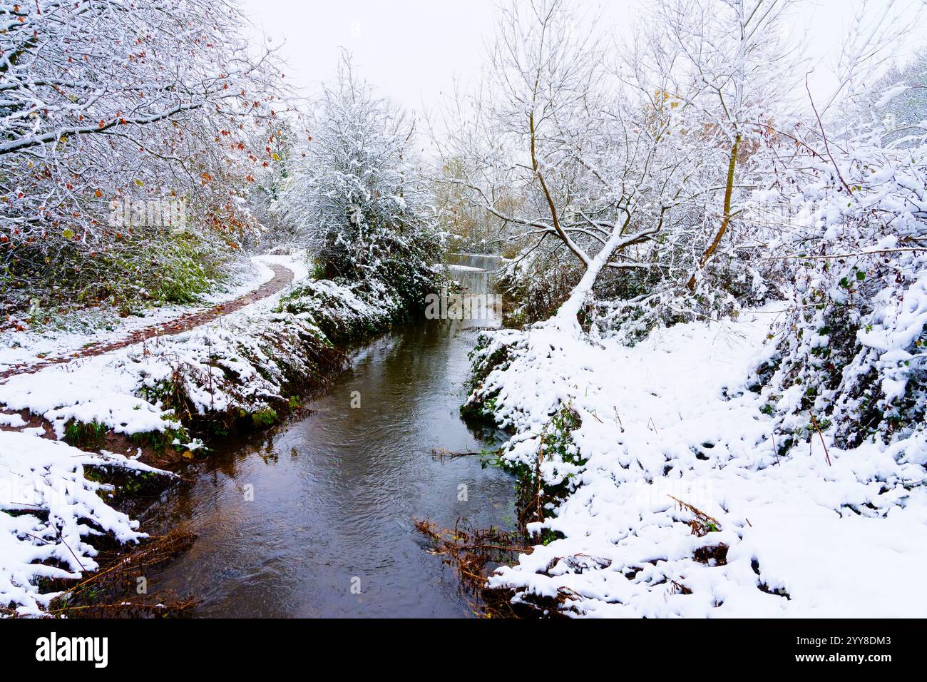 Tranquil view gently flowing river hi-res stock photography and images ...