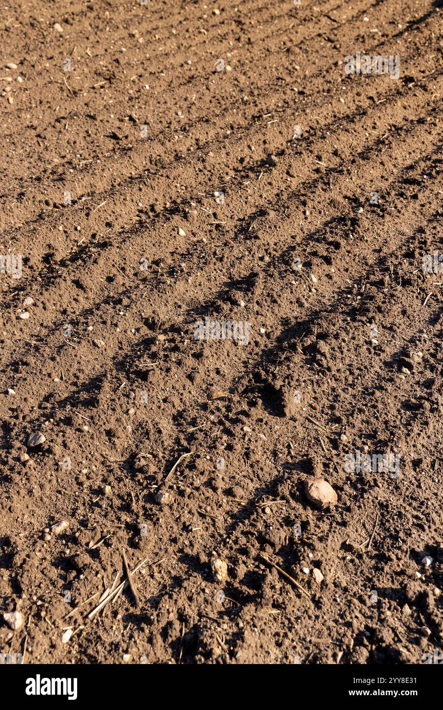 soil for plants in an agricultural field, fertile soil in spring during ...
