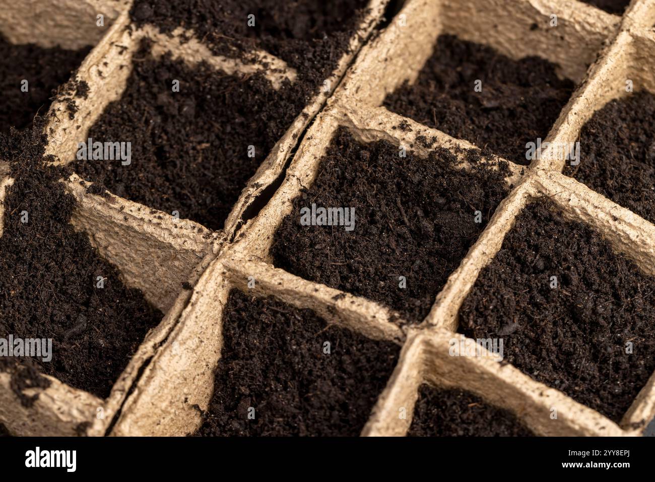 cardboard cups for seedlings with fertile soil, pour black soil into ...