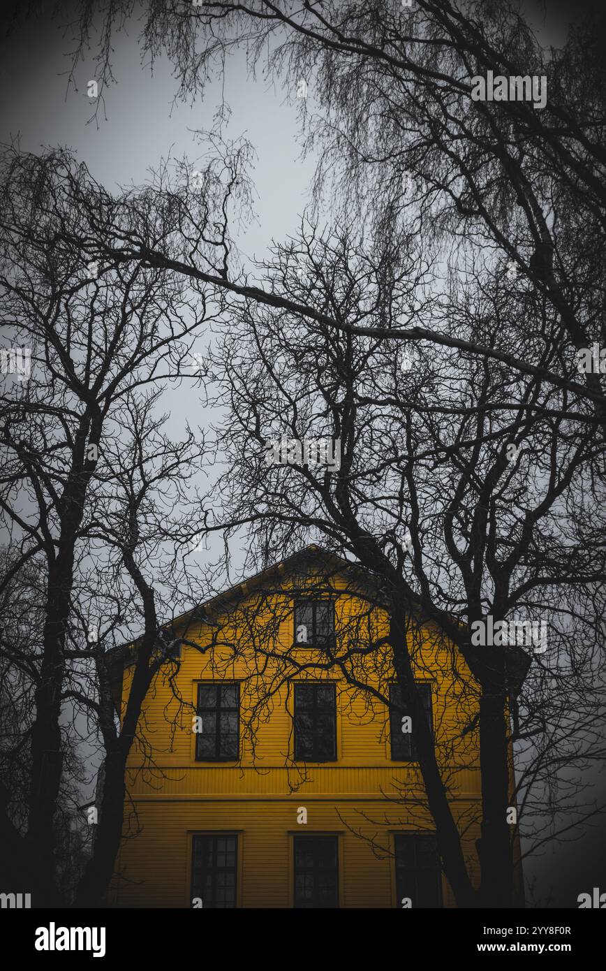 Scary yellow hi-res stock photography and images - Alamy