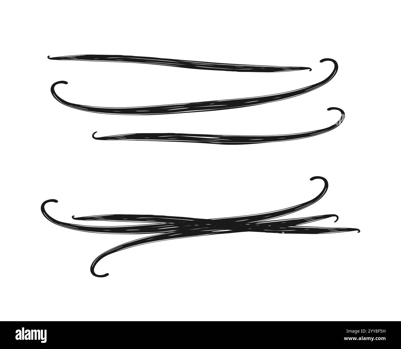 Vanilla pod sticks. Set of vanilla sticks for design. Sketch stylized ...