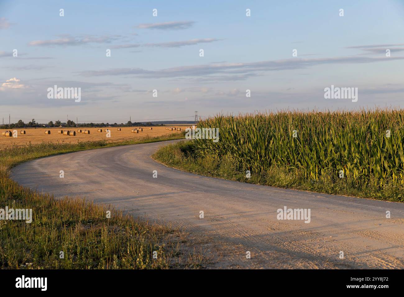 Evening landscape narrow road hi-res stock photography and images - Alamy