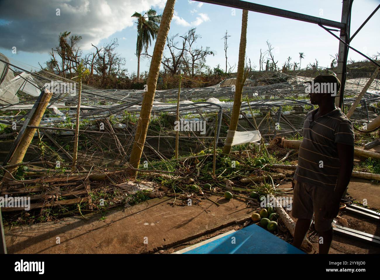 Scenes of devastation in fields and different agricultural sectors ...