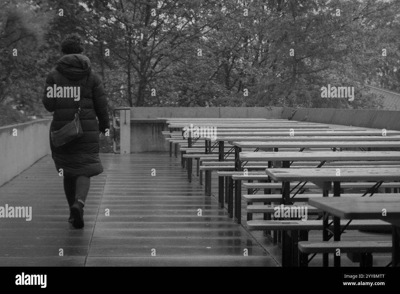 A solitary walk through the rain, surrounded by empty benches and an ...