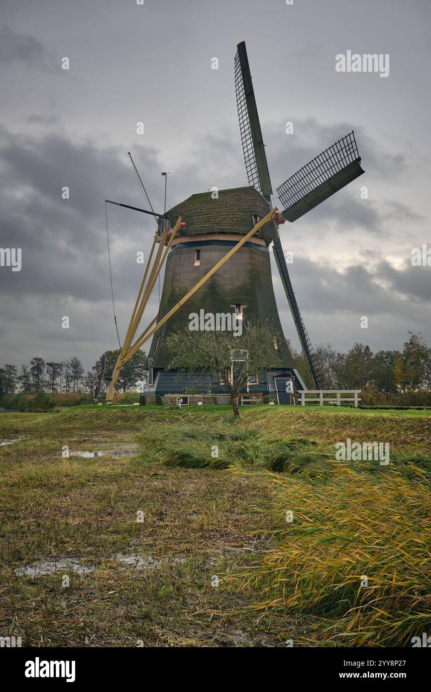 The Loenderveense polder mill, a historic drainage windmill, with its ...