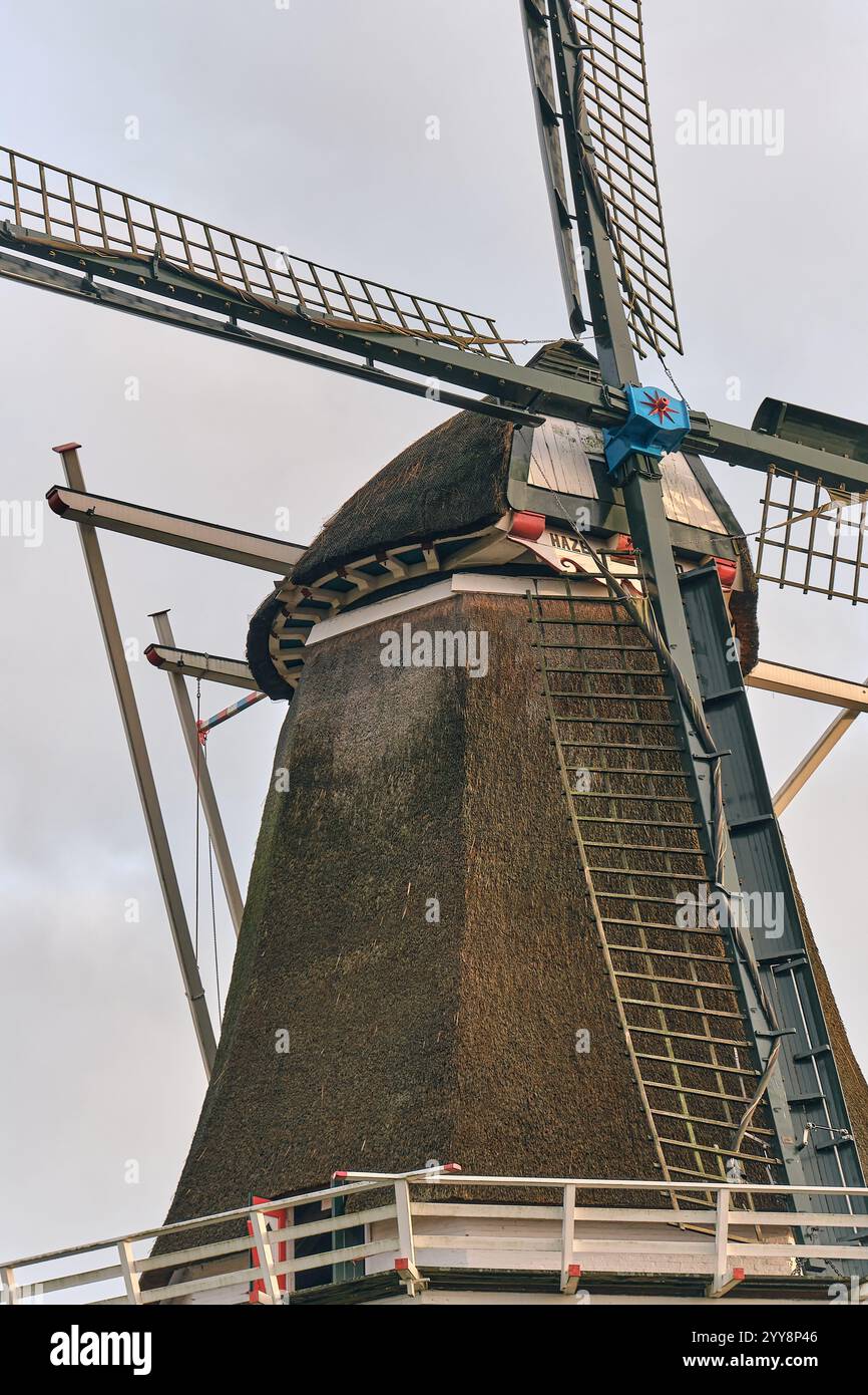 View on traditional corn mill and barley pealing mill De Hazewind in ...
