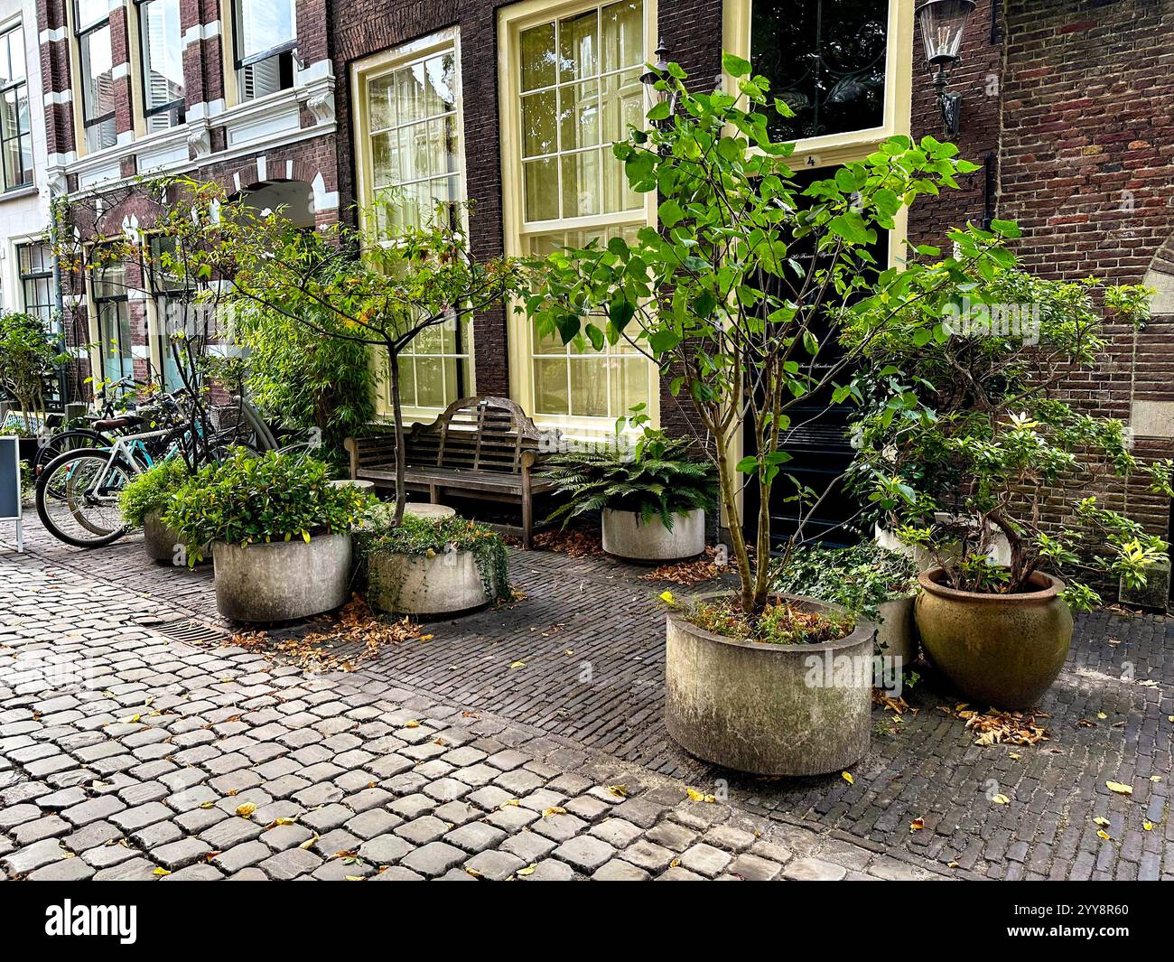 Different decorative trees in concrete pots near building Stock Photo ...