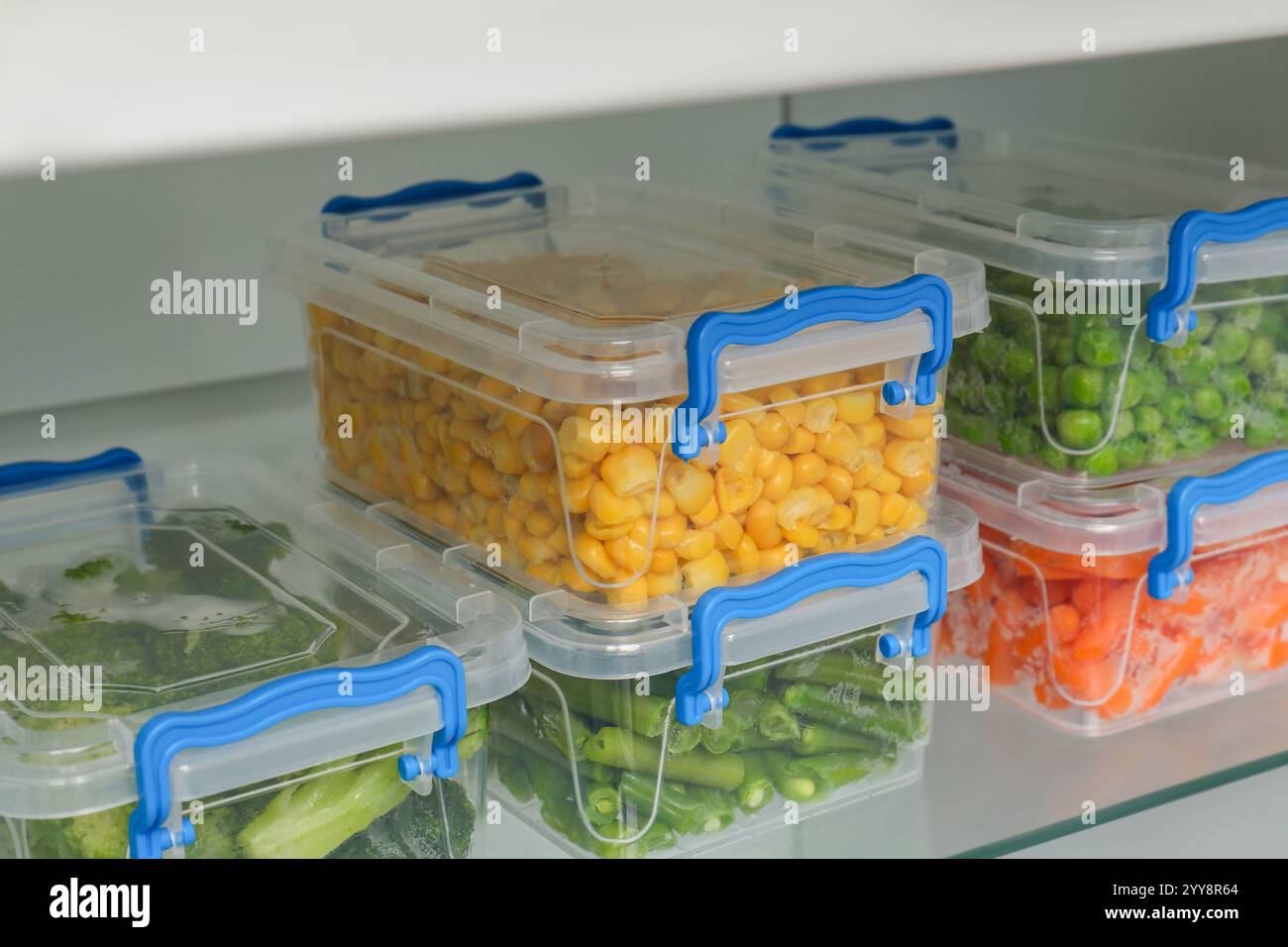 Plastic containers with different frozen vegetables in refrigerator ...