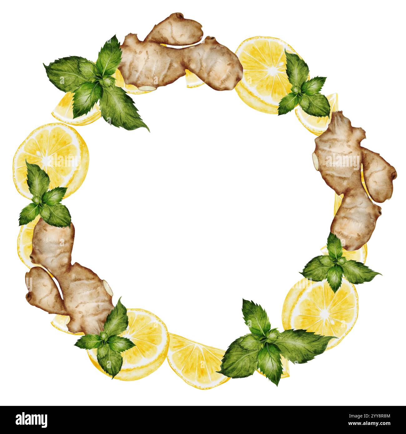 Ginger and lemon watercolor frame. Hand drawn hot root, citrus and mint ...