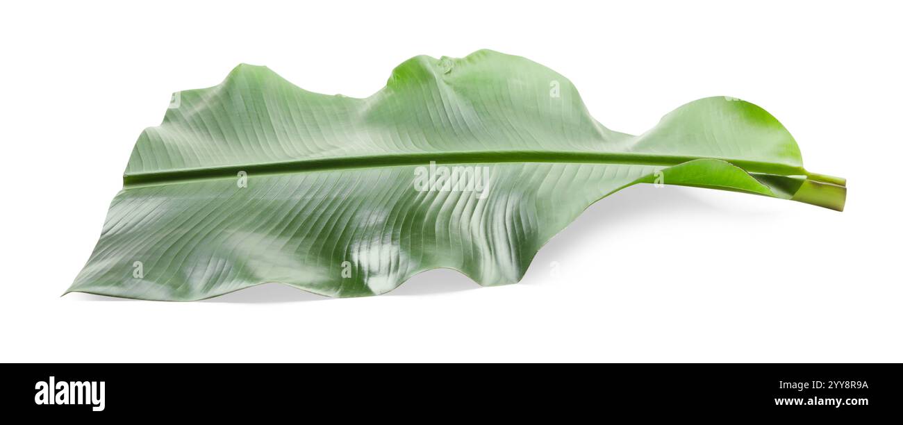 Authentic serving on banana leaf hi-res stock photography and images ...