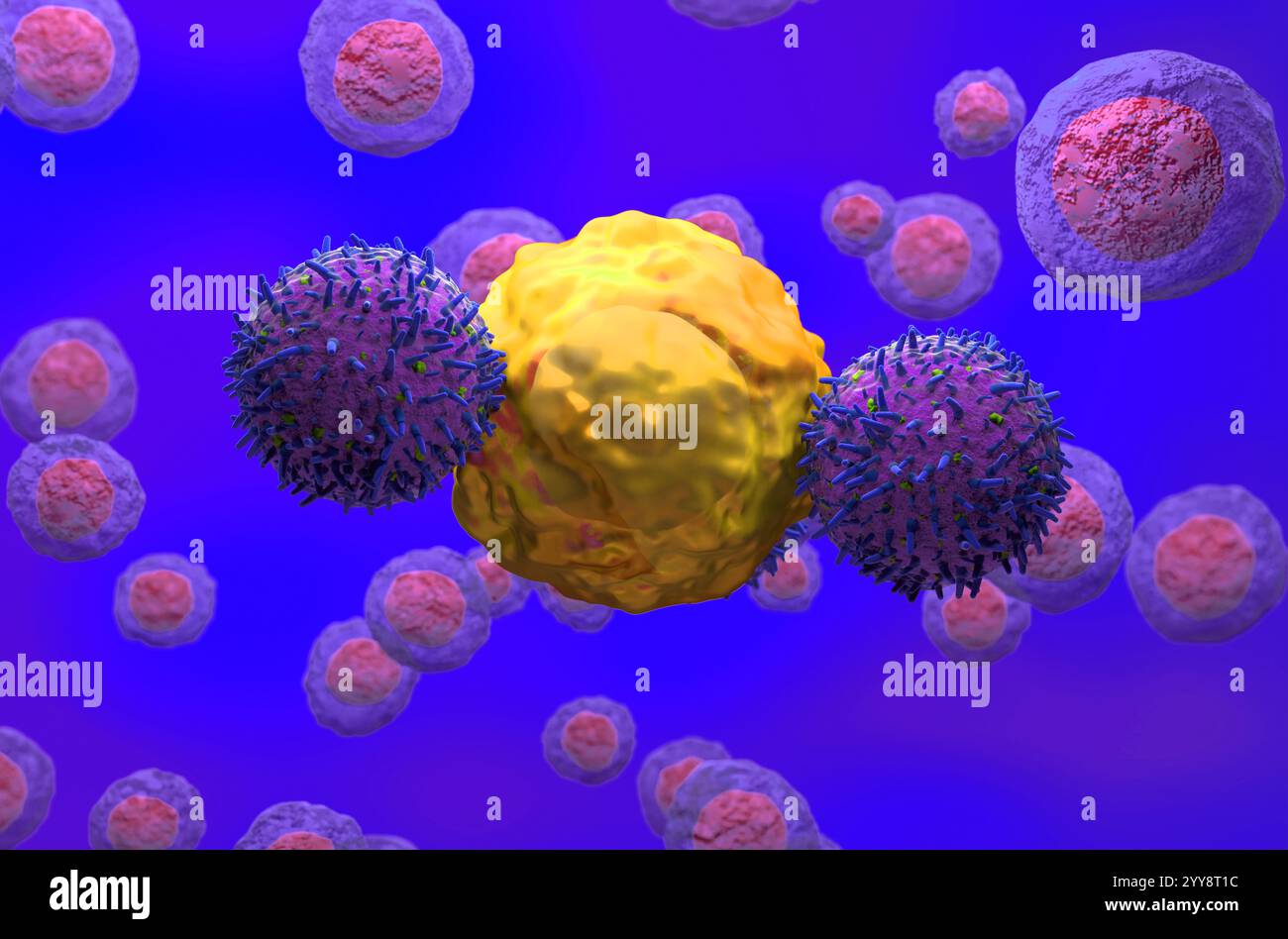 CAR T-cells attack cancer cell - isometric view 3d illustration Stock ...