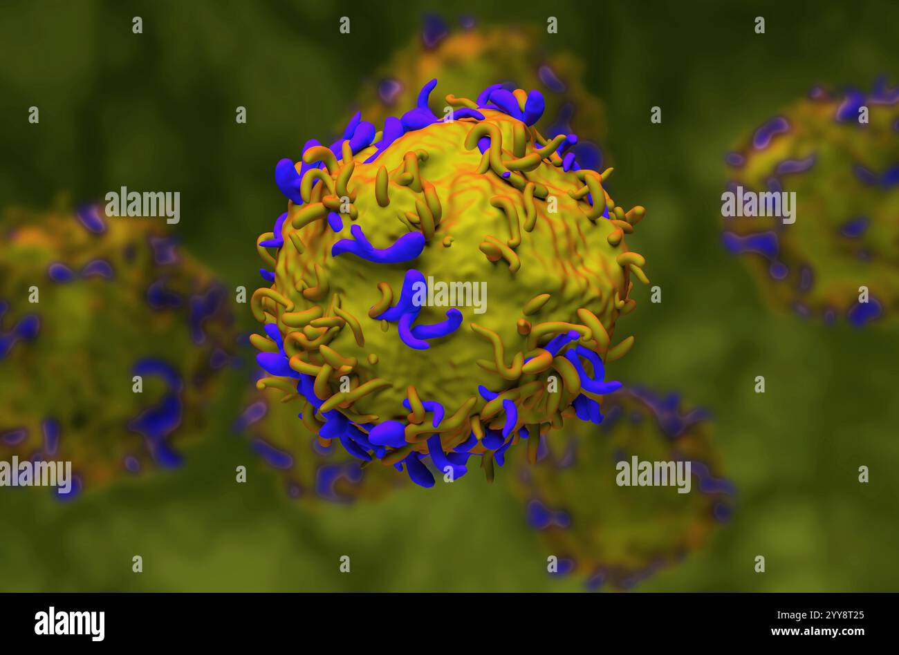 CAR T cells - Closeup view 3d illustration Stock Photo - Alamy
