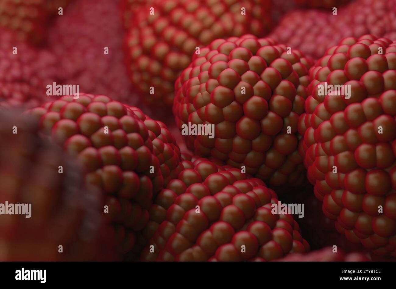 Prostate cancer cells in the prostatic glandular epithelium - closeup ...