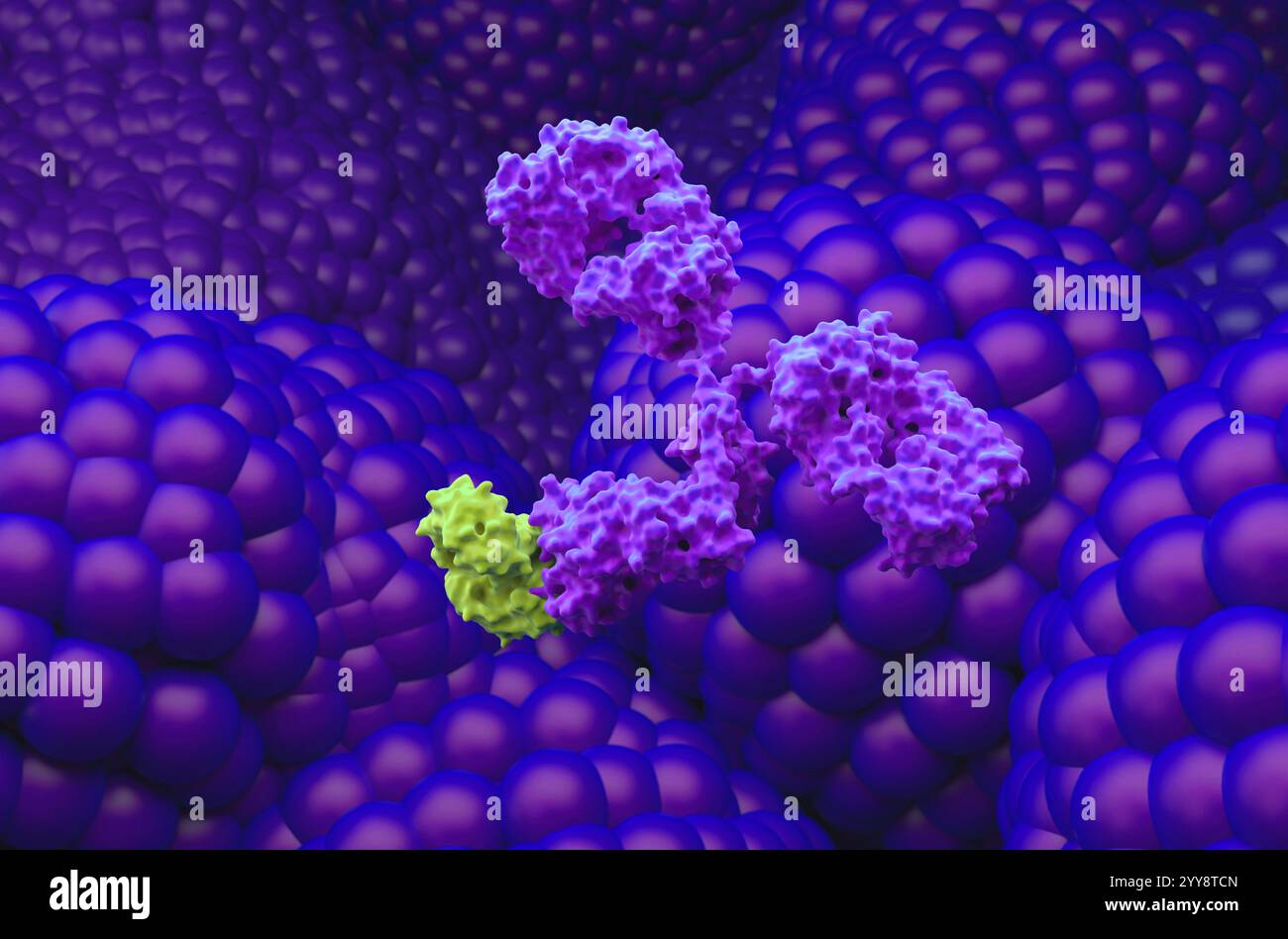Monoclonal antibody melanoma hi-res stock photography and images - Alamy