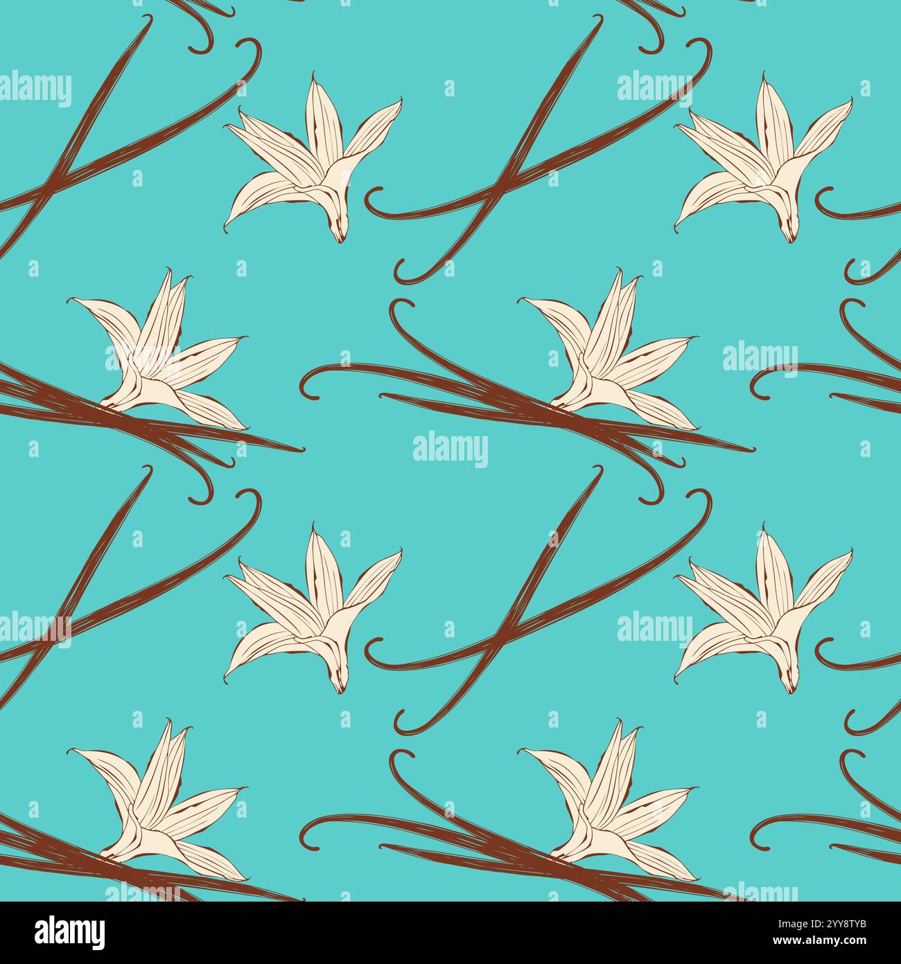 Pattern with aromatic spices Vanilla, flowers and vanilla sticks on ...