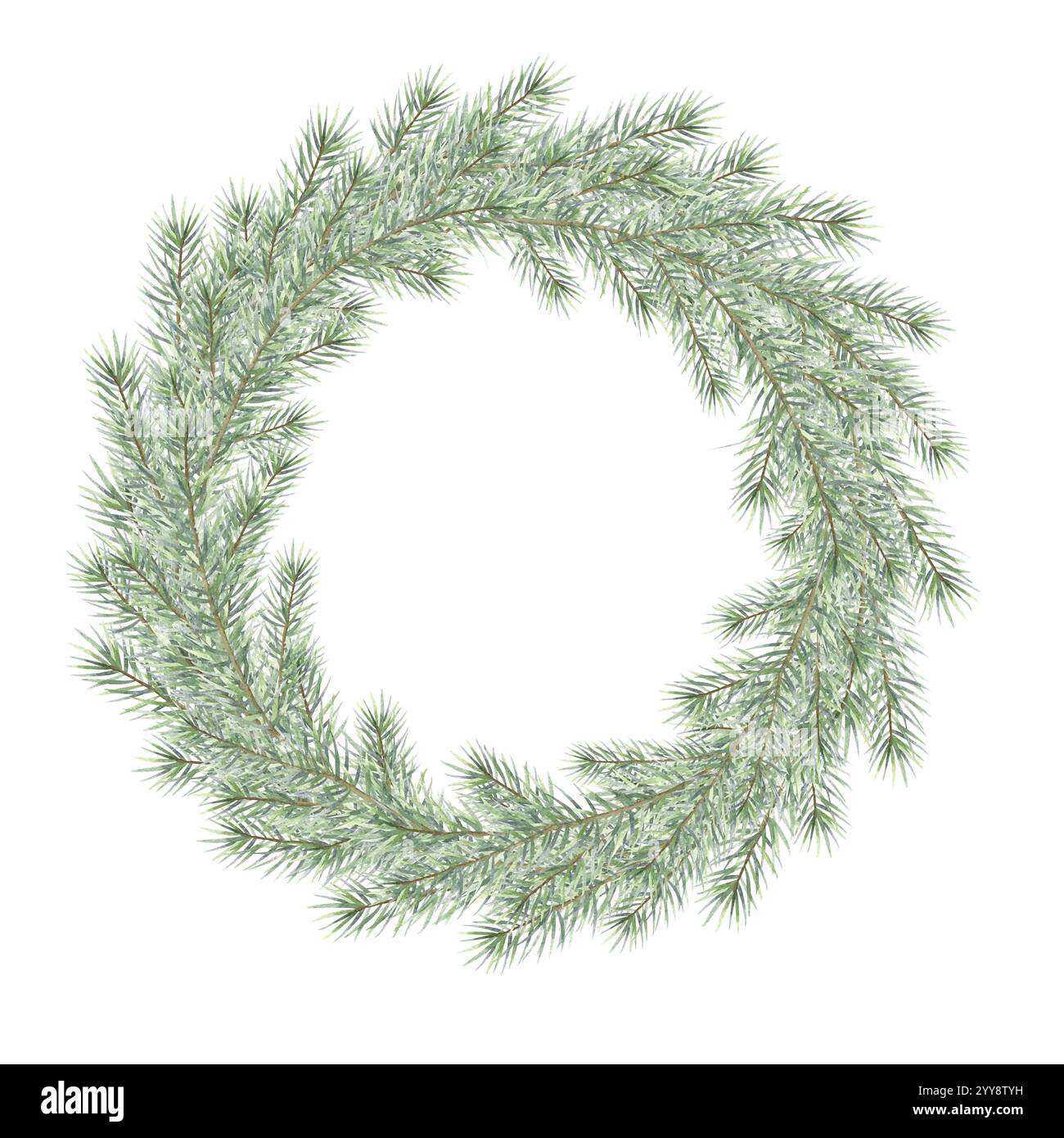 Christmas lush wreath with green spruce branches. Hand drawn watercolor ...