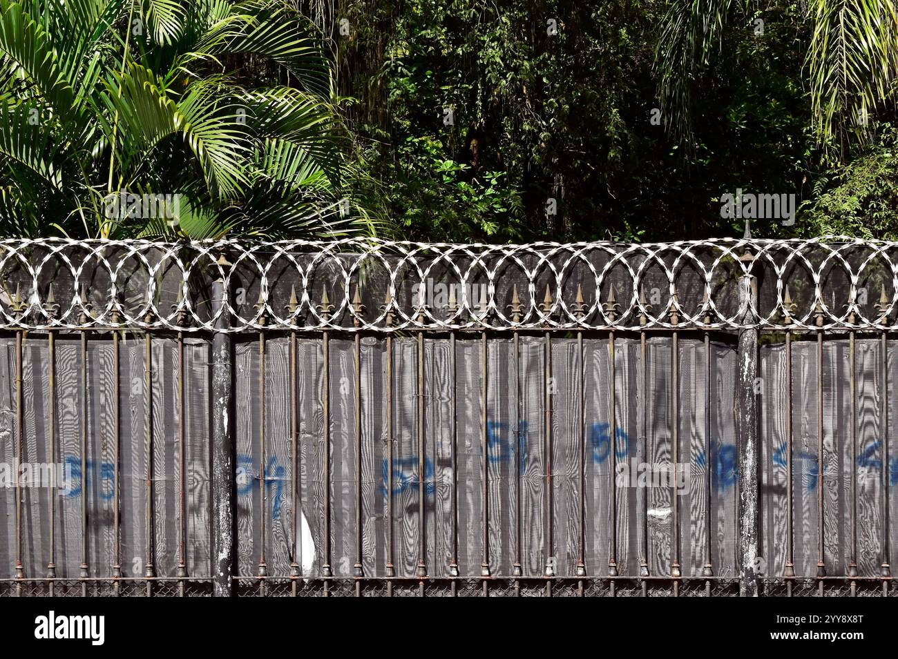 Barbed wire on top of the fence, Rio de Janeiro, Brazil Stock Photo - Alamy
