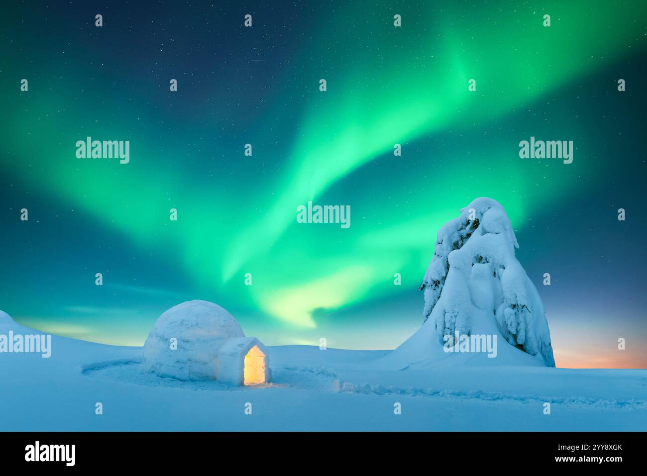 Snowy igloo lighted from the inside near frozen fir-tree against the ...