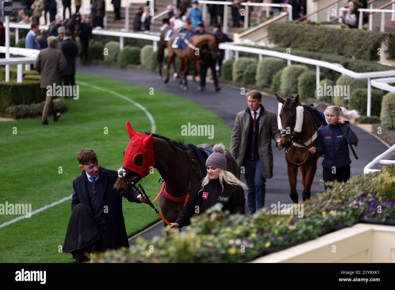 Horses in the parade ring before the Howden Conditional Jockeys ...