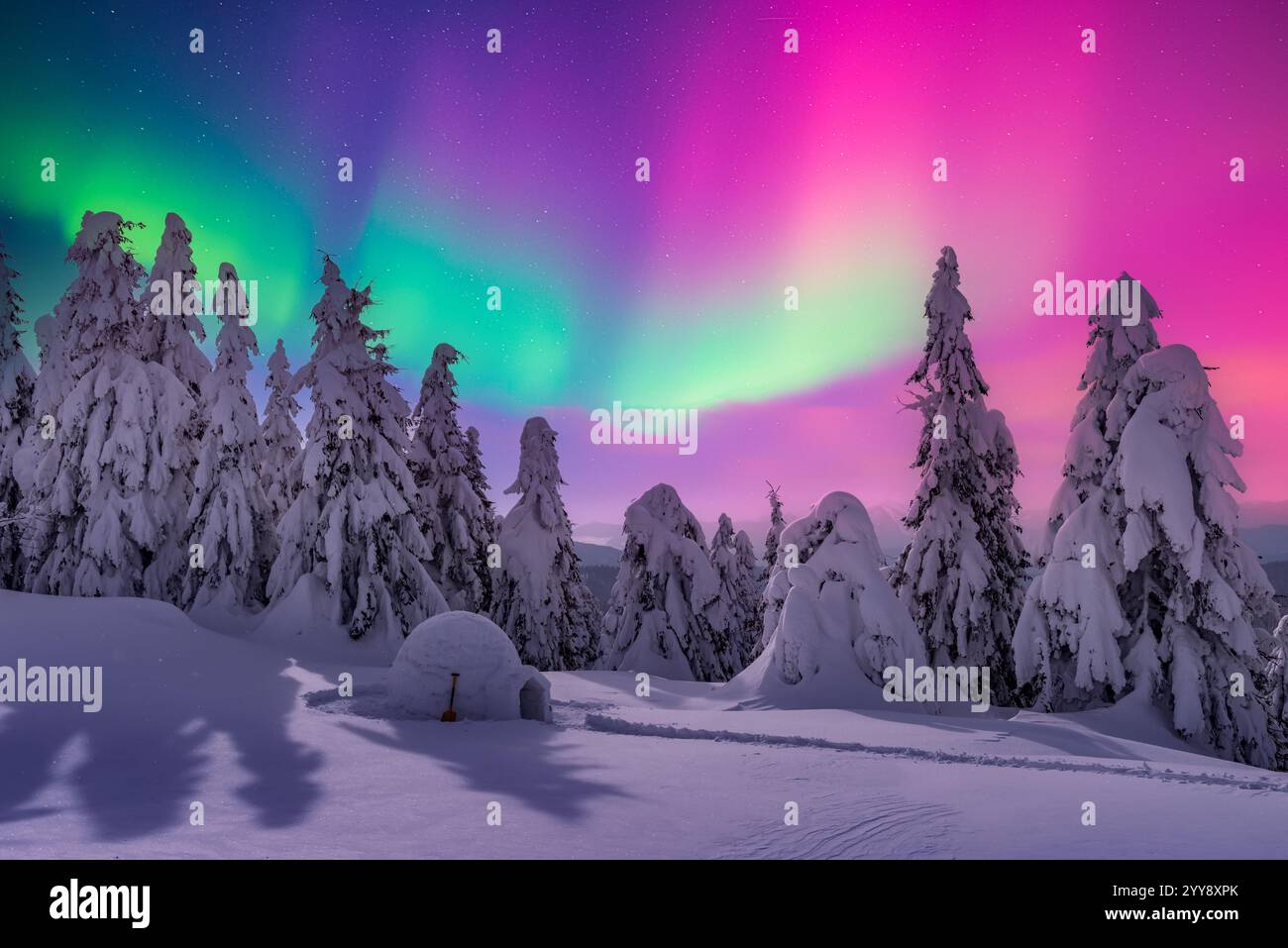 Igloo in winter forest against the backdrop of incredible starry sky ...