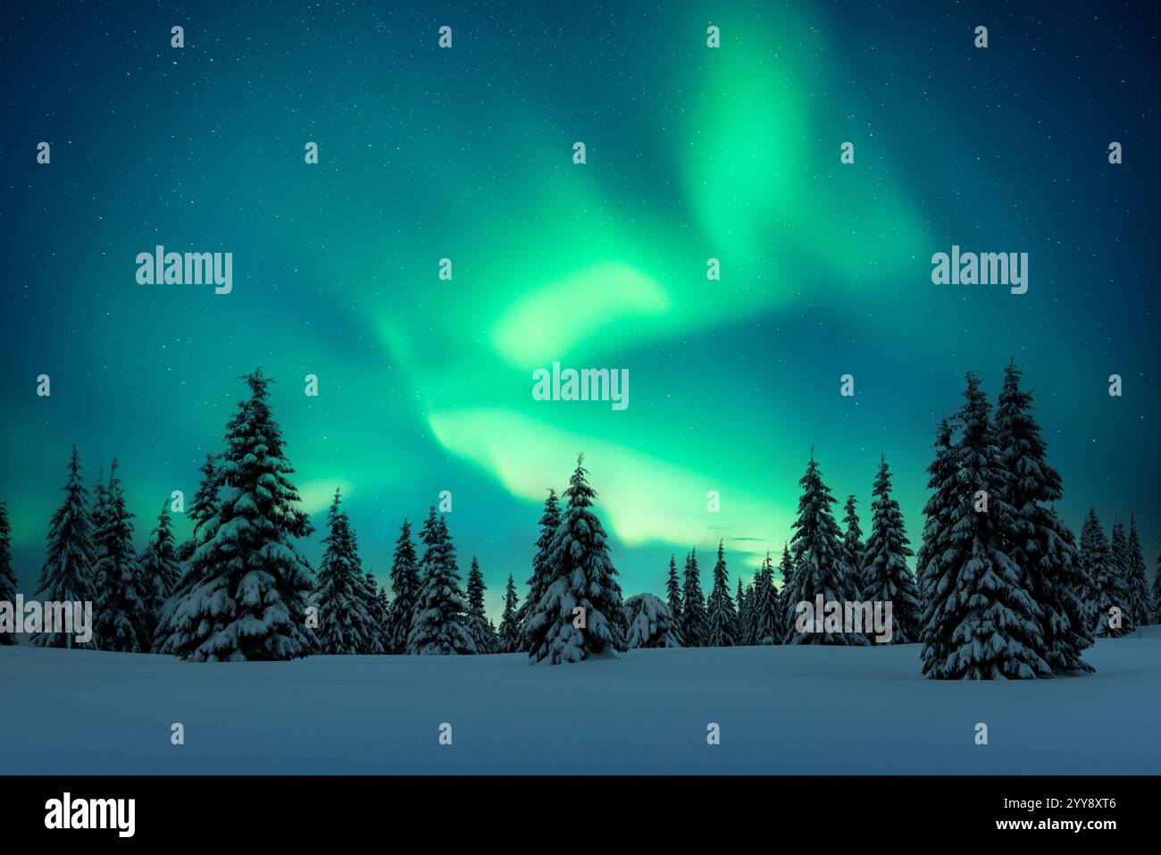 Fairy winter mountains with snowy fir-trees and incredible Northern ...