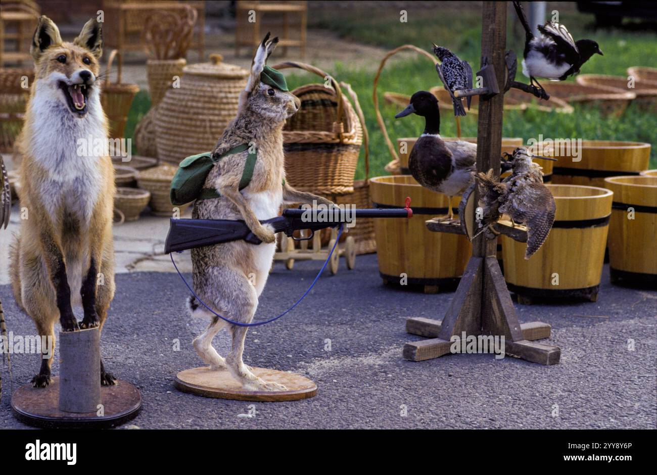 Hungary, stuffed fox, hare and birds for sale alongside a throughroad ...